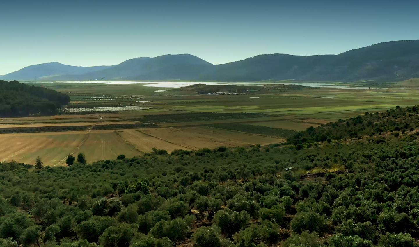 תּוּר בָּה - לטייל. להנות. להתרגש